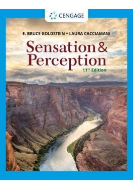 Sensation and Perception, Cengage eBook, 12 Months Digital Access